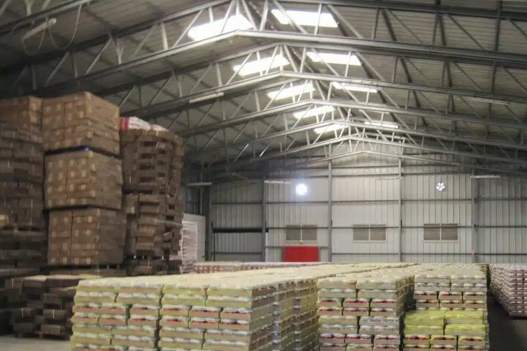 Agroline I Reference: Vegetable Storage Hall I Frisomat