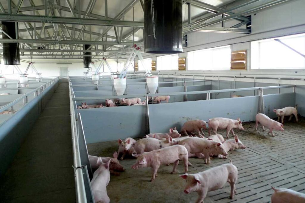 Applications For Agricultural Buildings | Frisomat