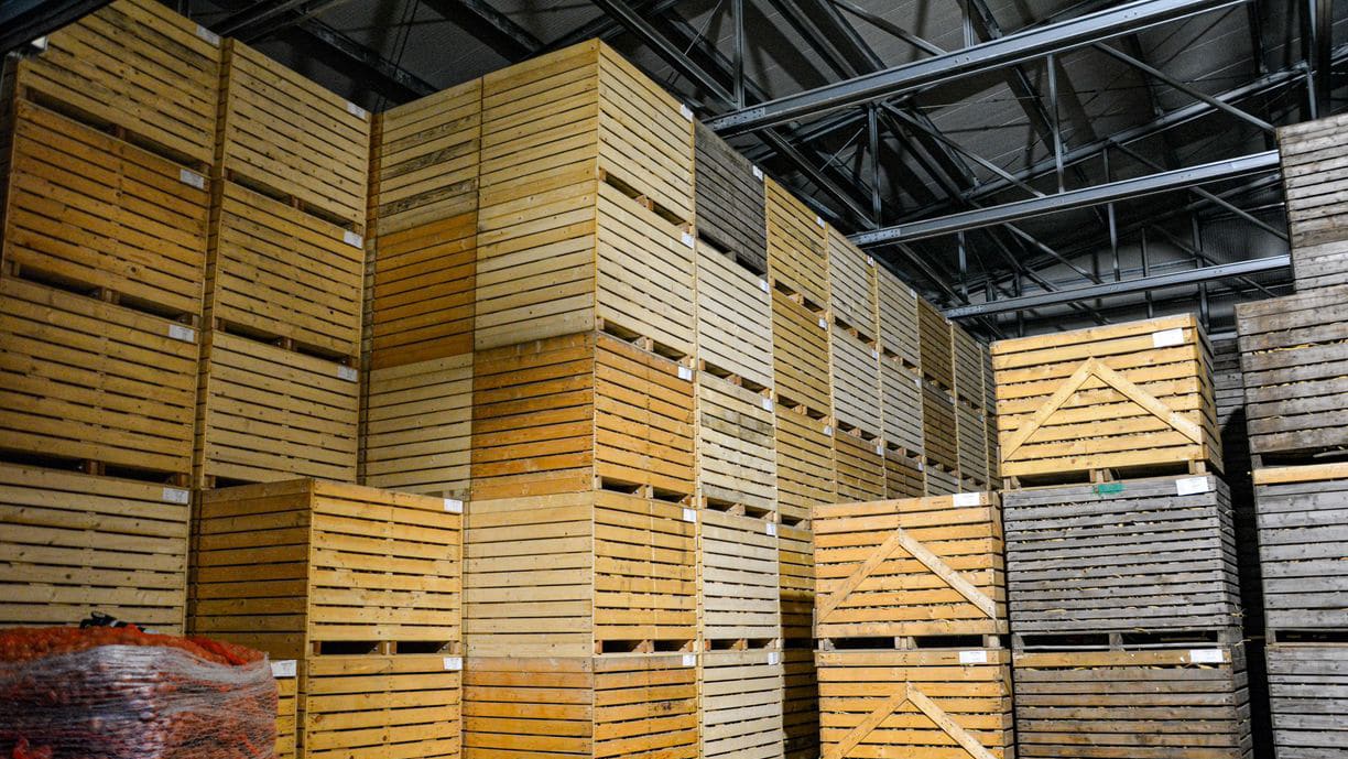 Cum Sa Construiti Un Depozit Pentru Fructe Si Legume Durabil